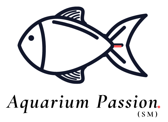Fish That Fall In Love: Researchers Find Romance Alive In The Ocean ...