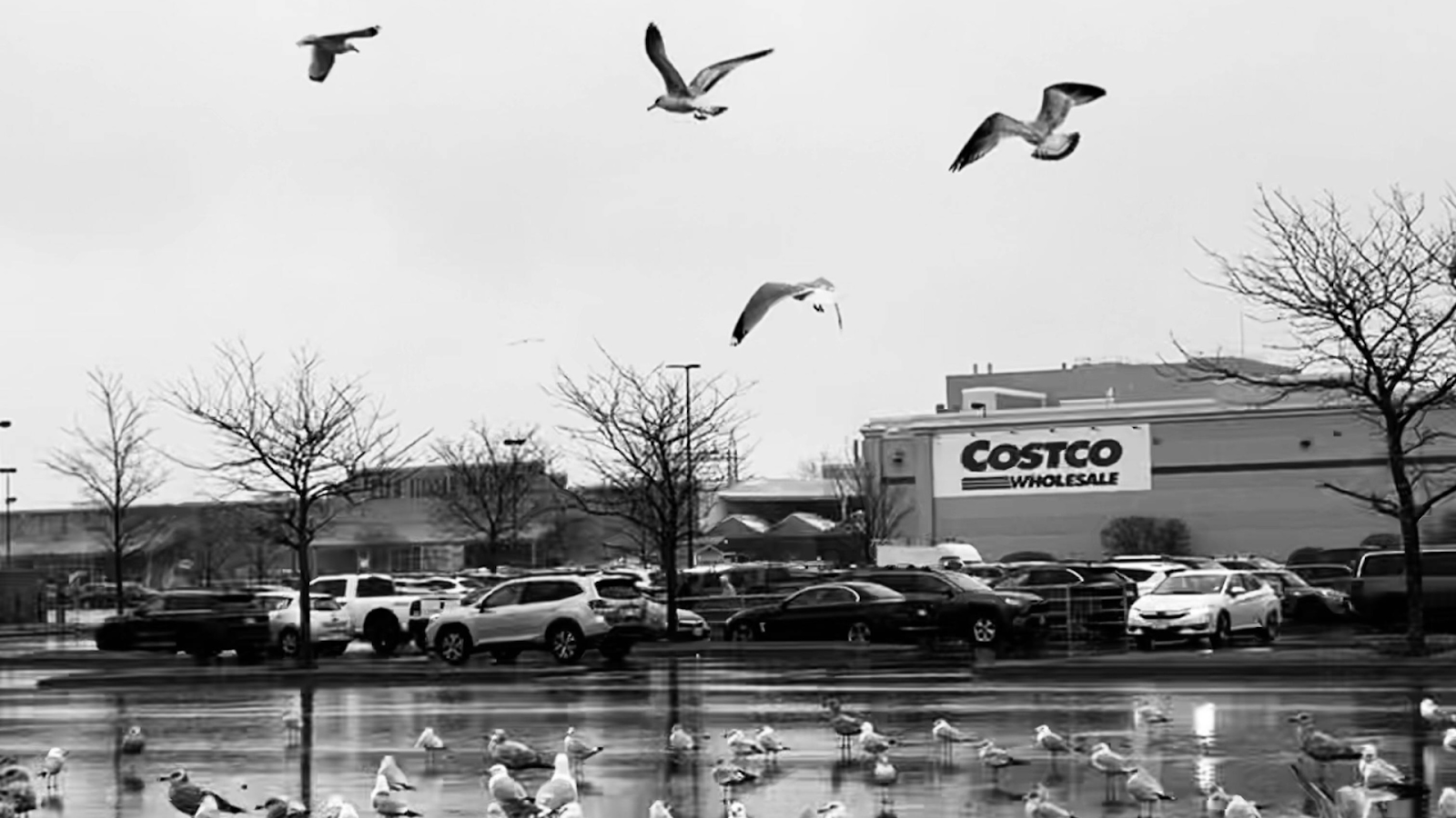 Understanding Costco Business Model: How It Keeps Prices Low - NewswireJet
